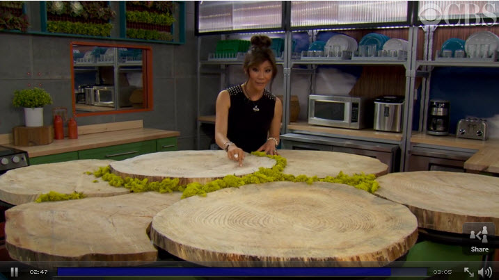 Big Brother 16 House Tour Kitchen 1 | Big Brother Access